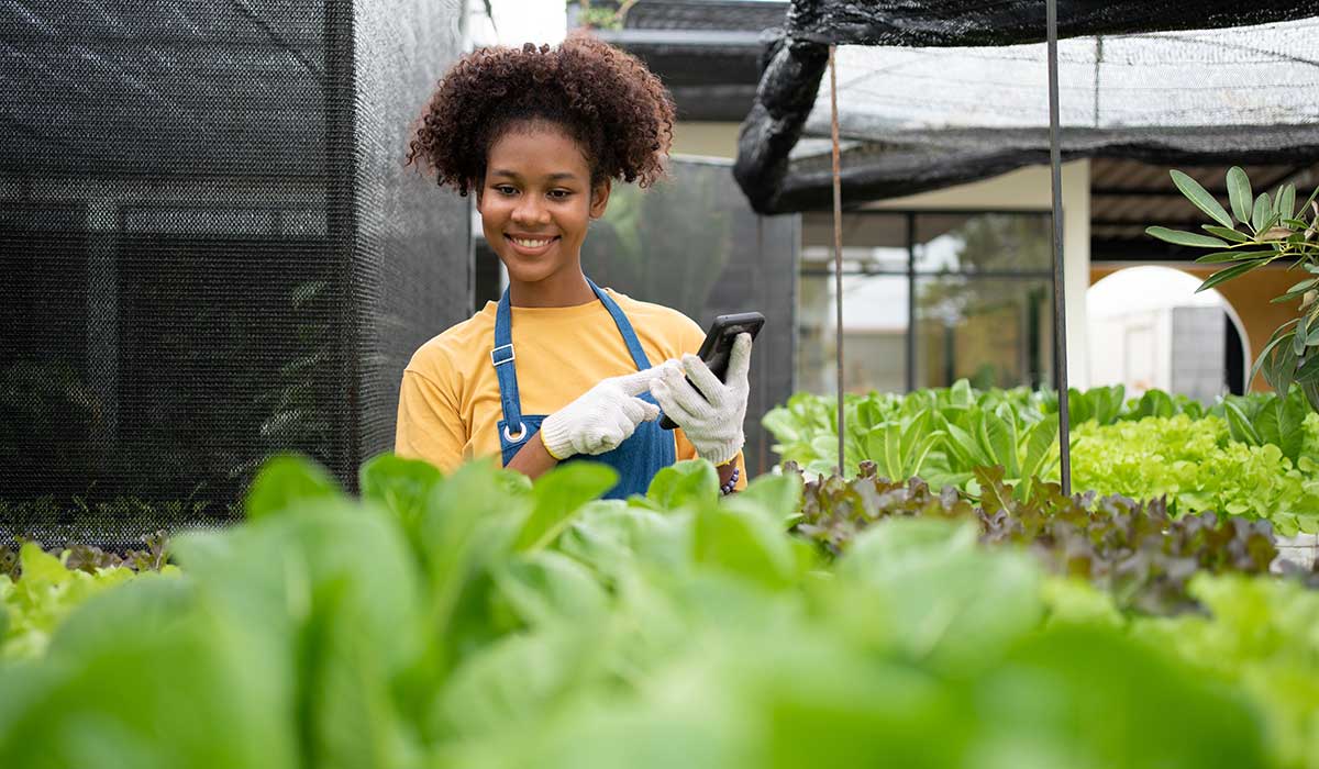 Thriving Through the Summer Season: A Guide to Small Business Growth